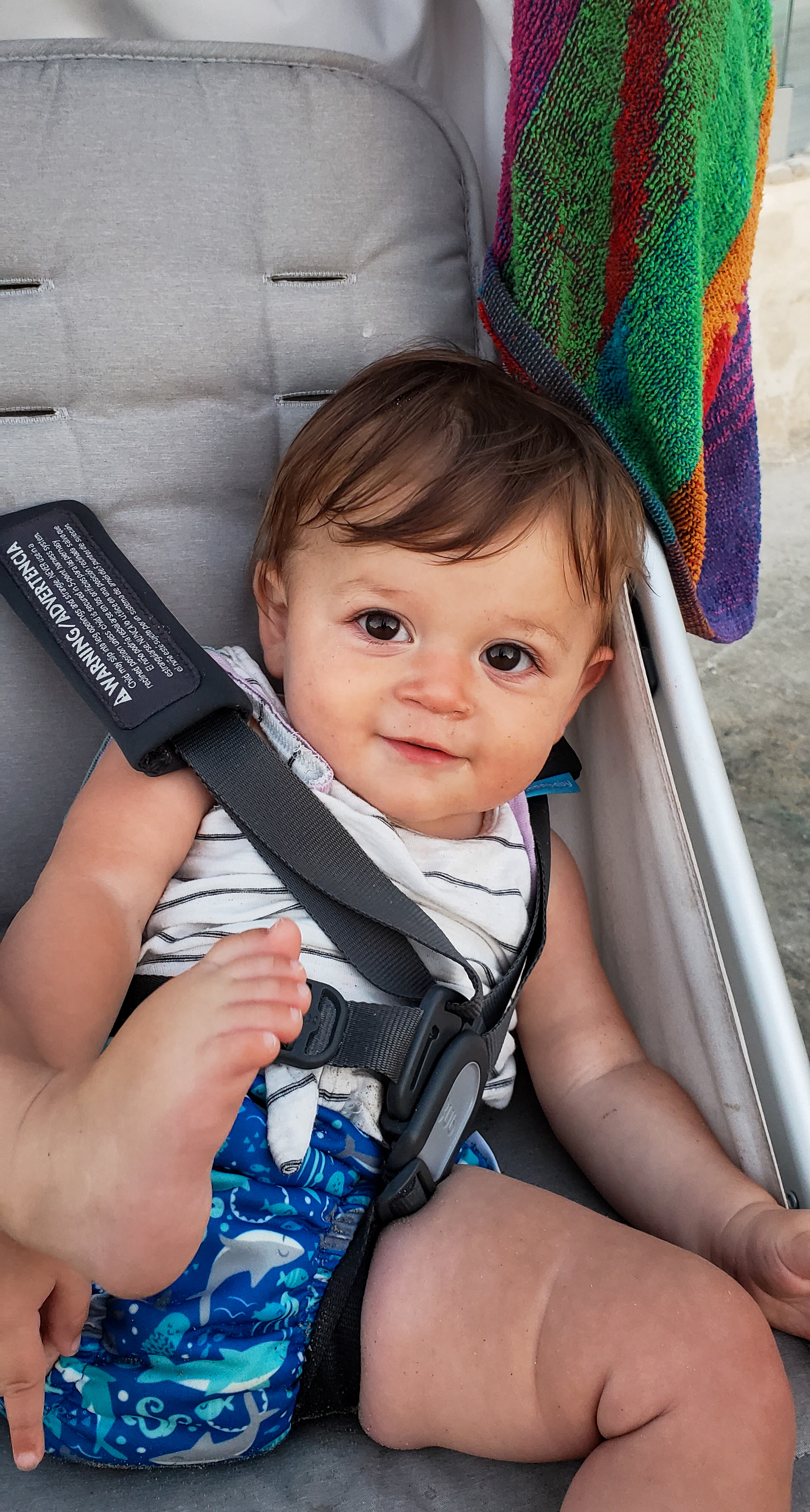 The UPPAbaby Minu: My Newest Travel Obsession is a Pocket Stroller ...